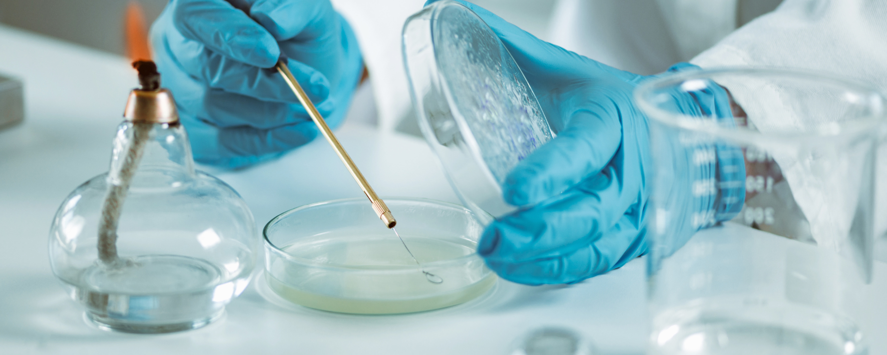 Pengujian Mikrobiologi Pangan Inovasi IDEXX Tecta | PT Ecosains Hayati